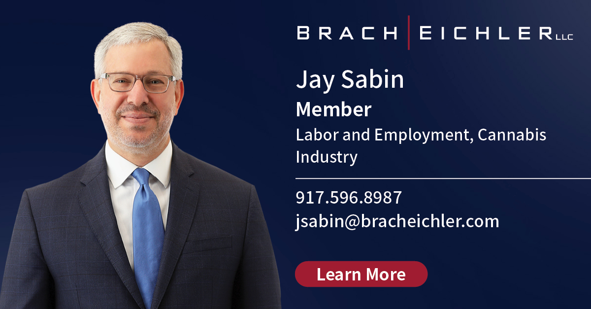 Jay Sabin | Brach Eichler LLC